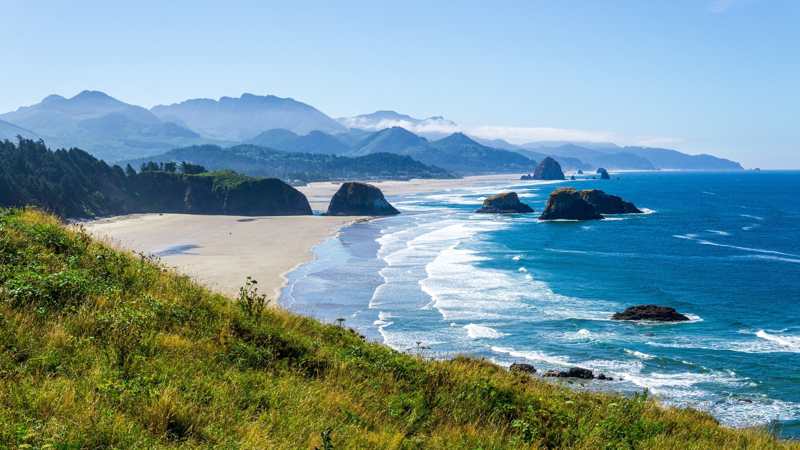 7 Invasive Species That Are Wreaking Havoc In Oregon
