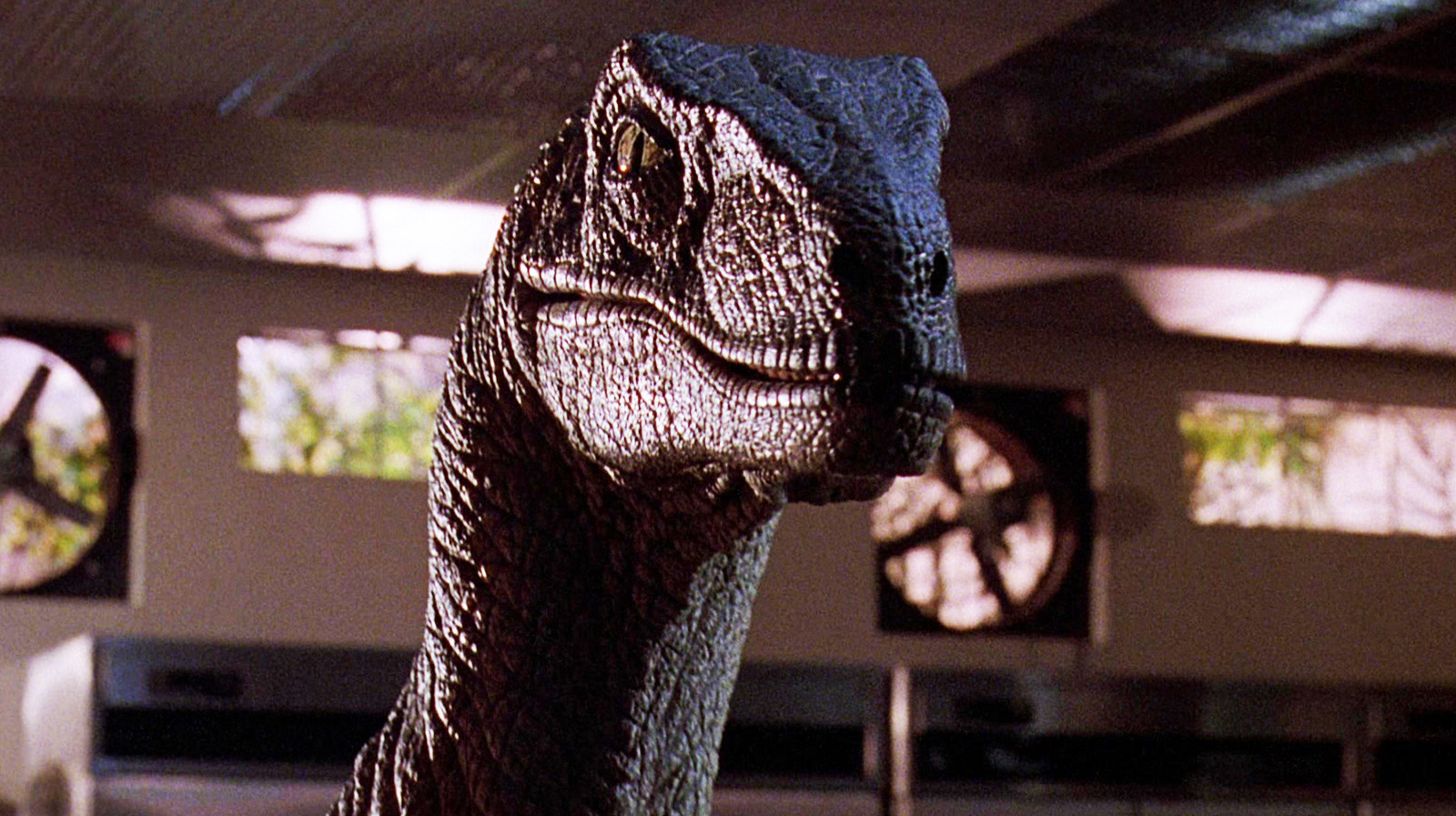 The Truth About What Velociraptors Really Looked Like