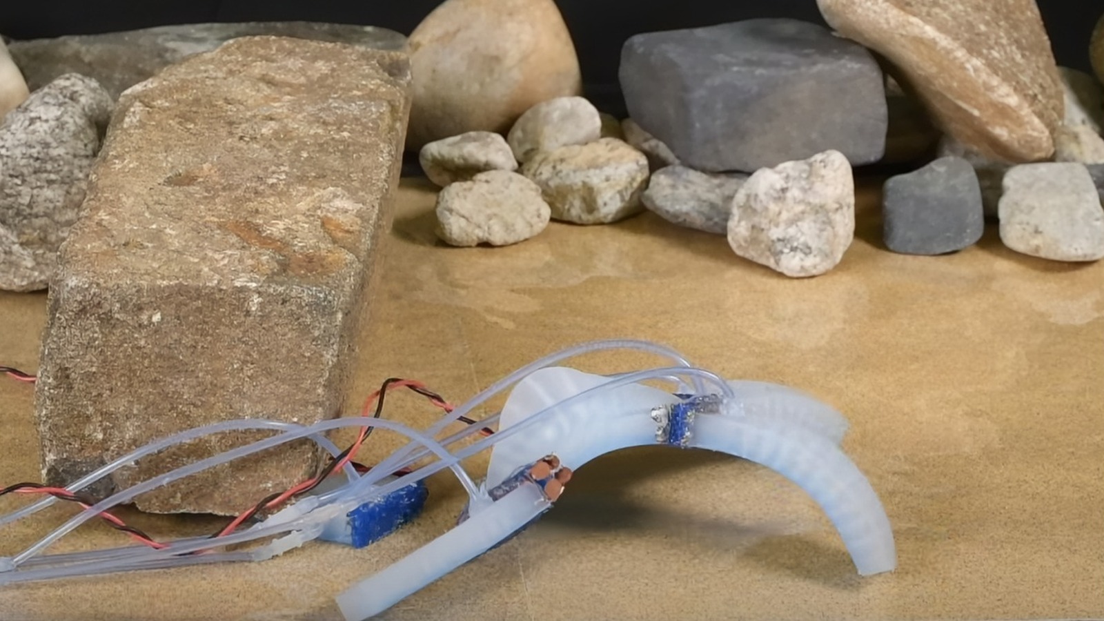 Meet The Robot That Amputates Its Own Limbs To Survive