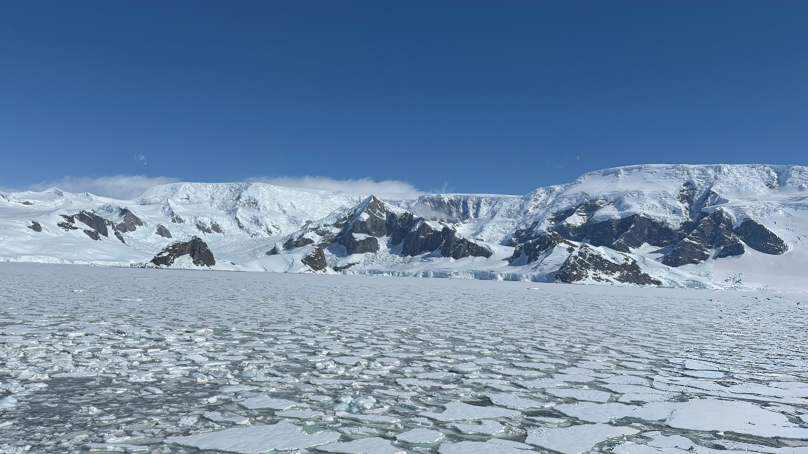 Scientist Turns Violent In Antarctica: Here's Why It's Part Of A ...