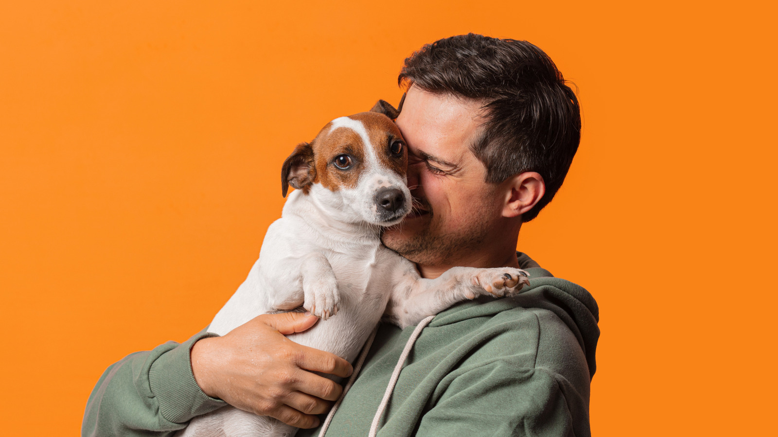 Scientists Discovered Unexpected DNA Similarities Between Dogs And Humans