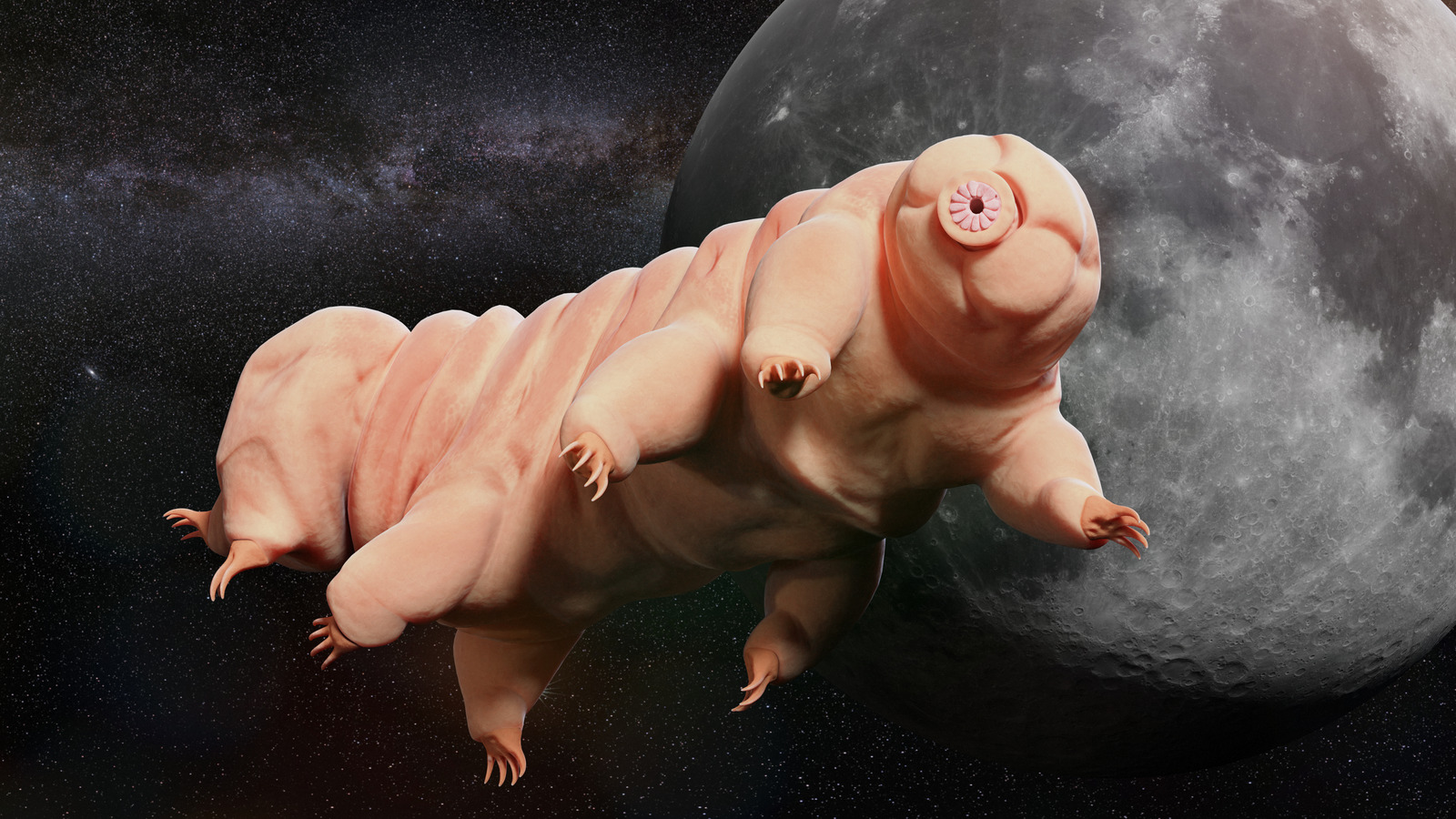 The 11 Most Indestructible Organisms Of All Time