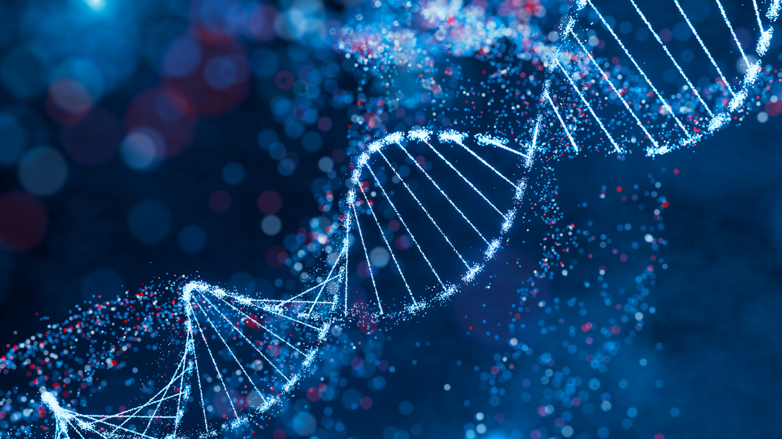 The 3 Parts Of A Nucleotide Explained