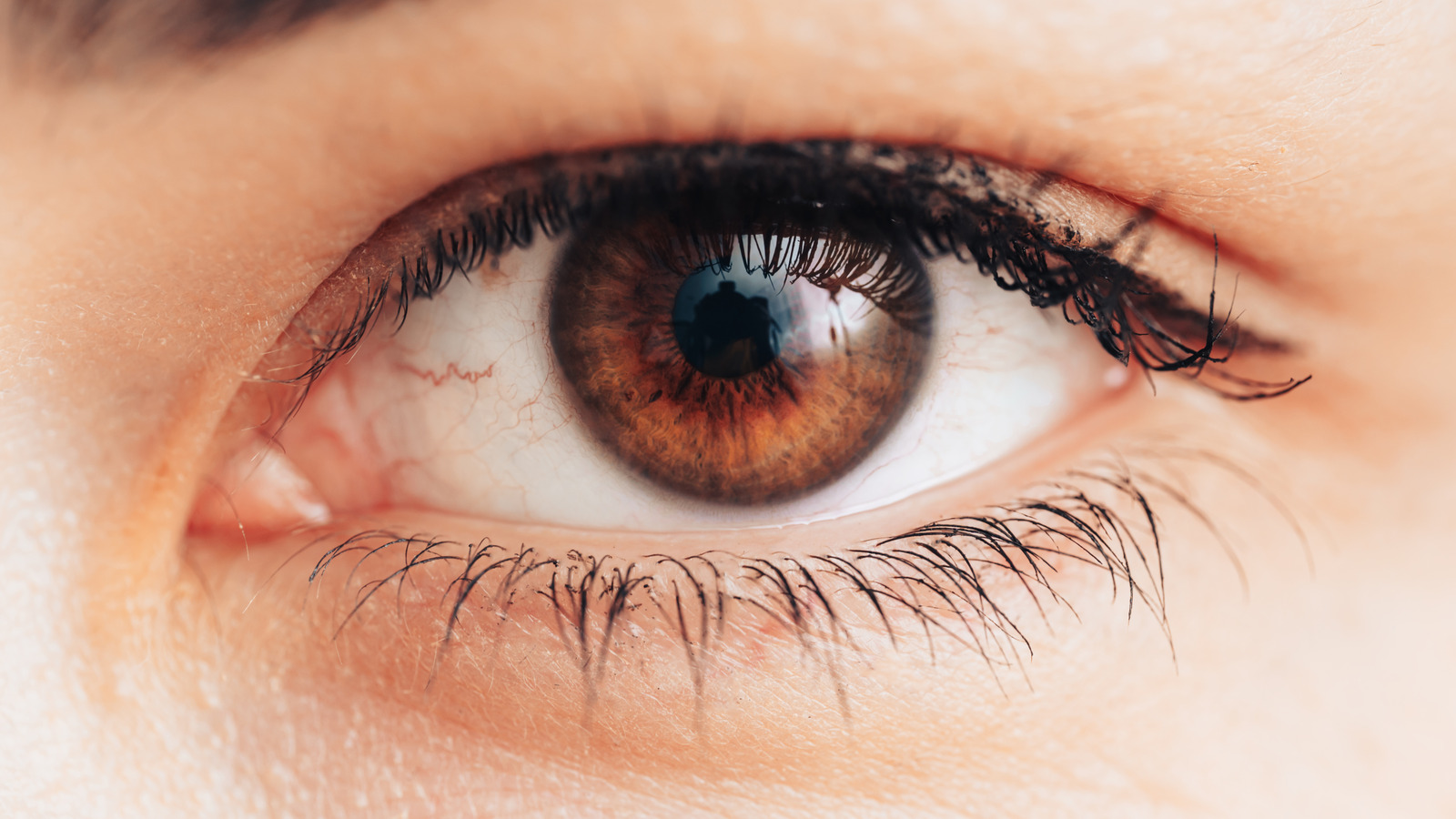 The Pink Part Of Your Eye That's Actually Useless