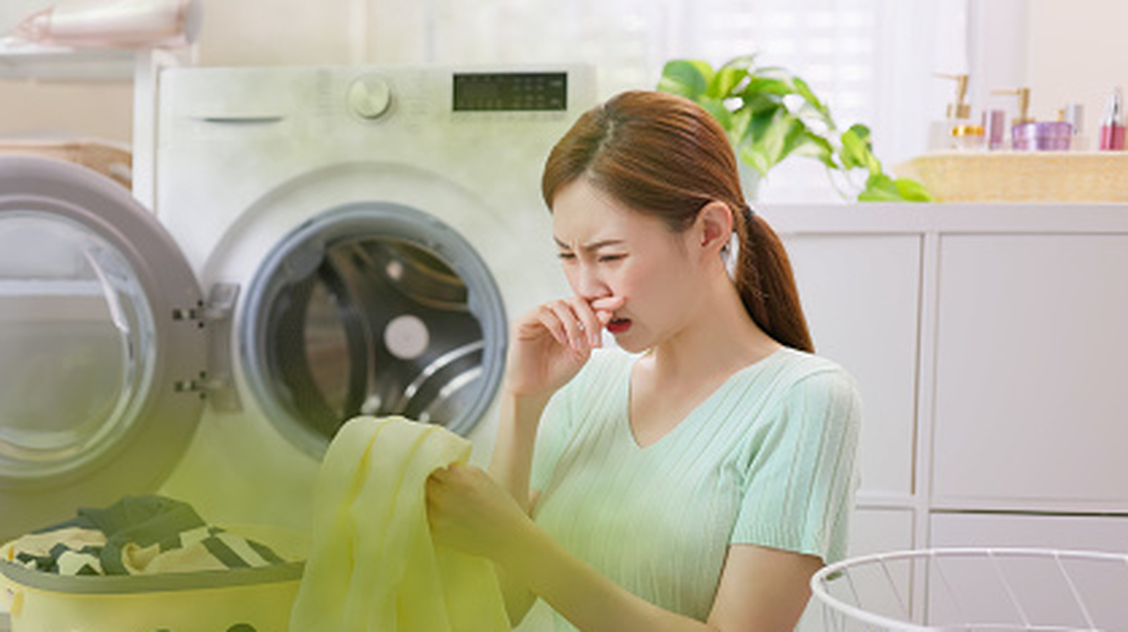 The Strange Science Behind The Basement Smell Everyone Notices