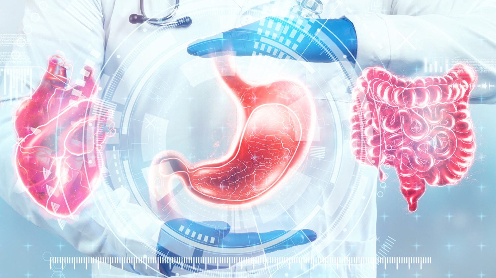 The 'Useless' Organ That's More Important To Your Health Than You Thought