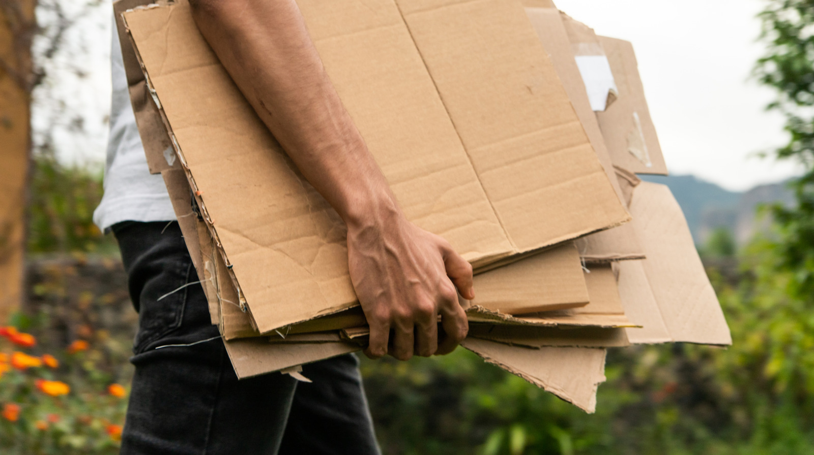Why People Are Putting Cardboard In Their Gardens