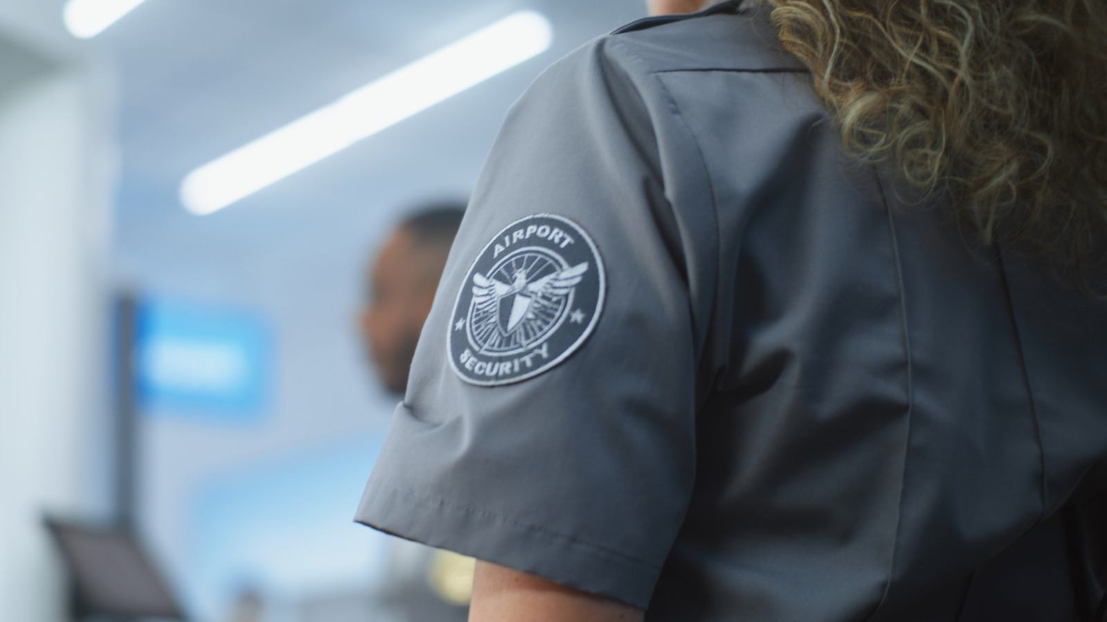 What Do The Body Scanners TSA Uses Actually See?