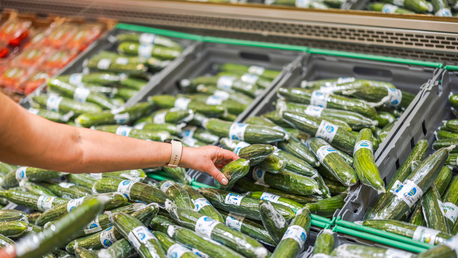 Wrapping Cucumbers In Plastic Has An Unexpected Effect On The Environment